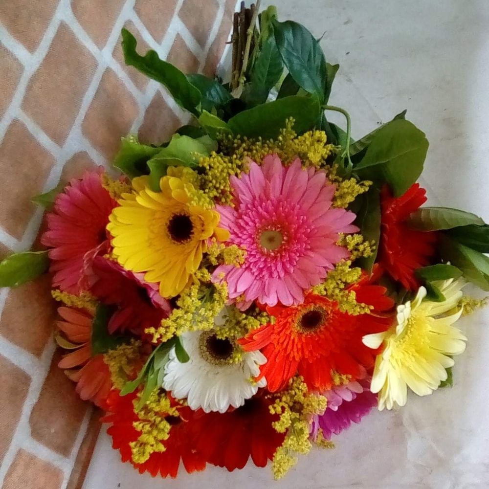 Buquê de 12 Gérberas Coloridas | Happy Day Flores Buquê de 12 Gérberas Coloridas | Happy Day Flores