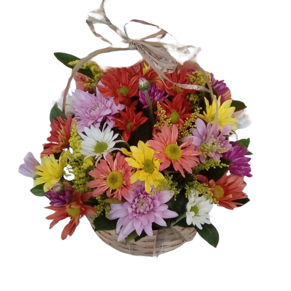 Cesta de Margaridas Coloridas | Happy Day Flores Cesta de Margaridas Coloridas | Happy Day Flores